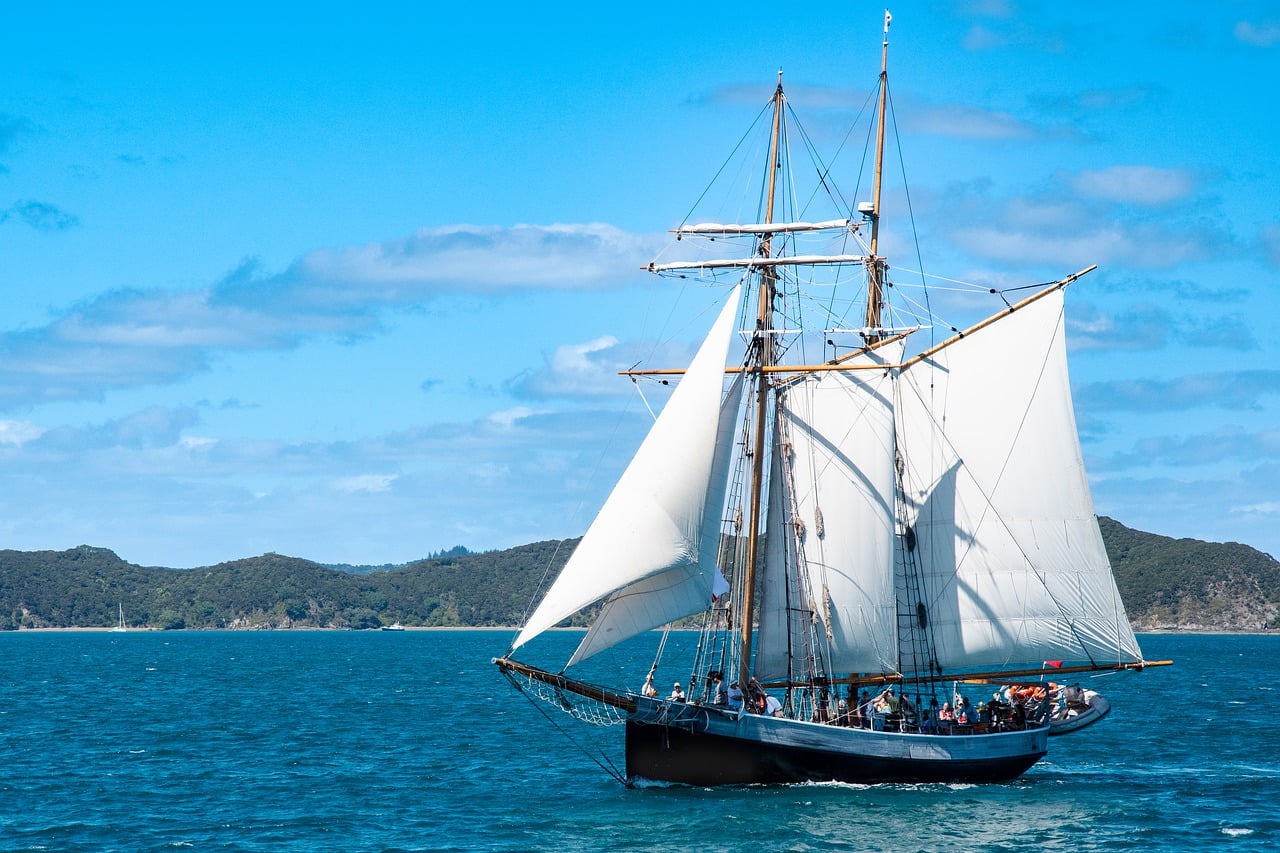 Grab Auckland City Roads Map now