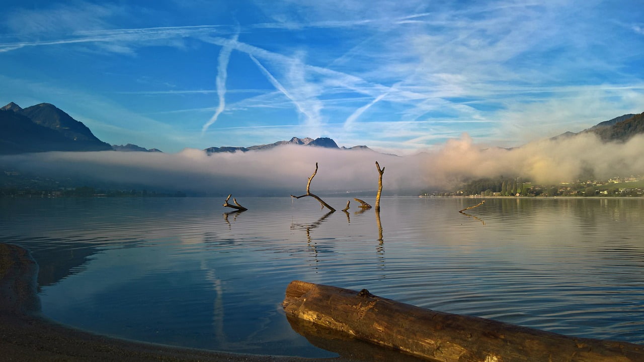 Get Sarnen City Roads Map for free