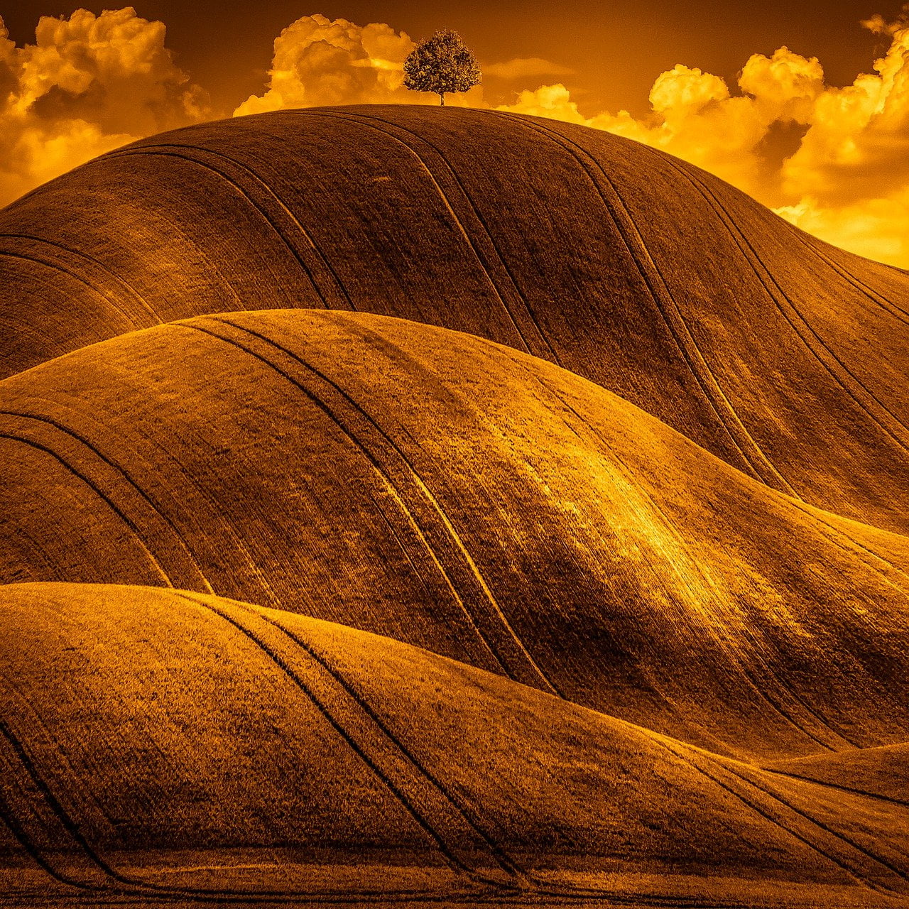 Grab Sierre City Roads Map for free