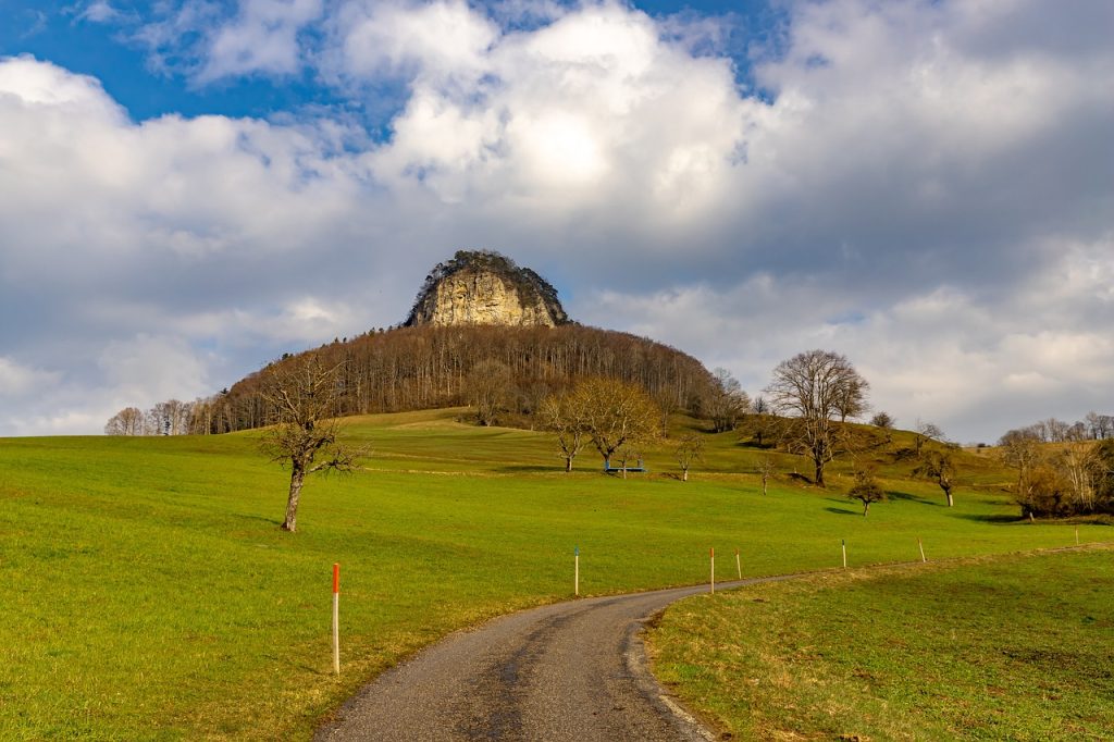 Obtain Olten City Roads Map for free