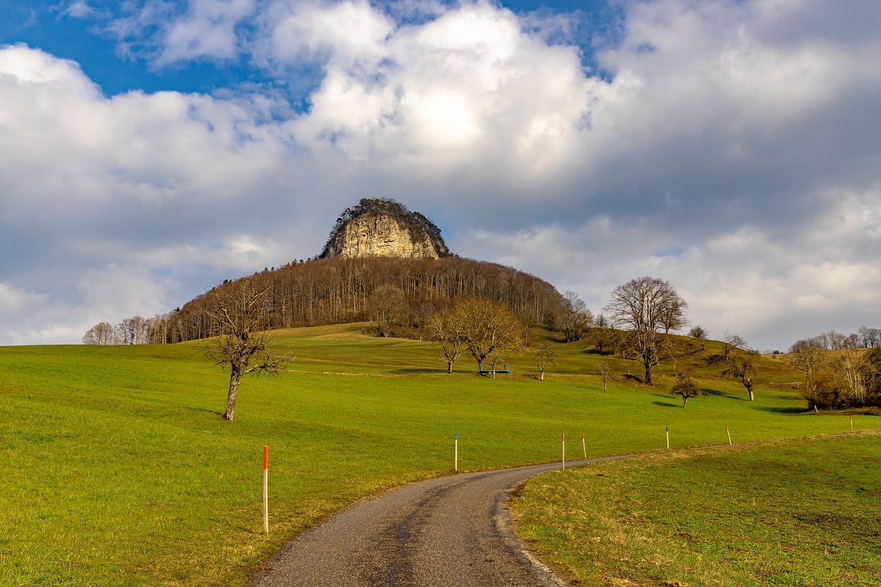 Obtain Olten City Roads Map for free